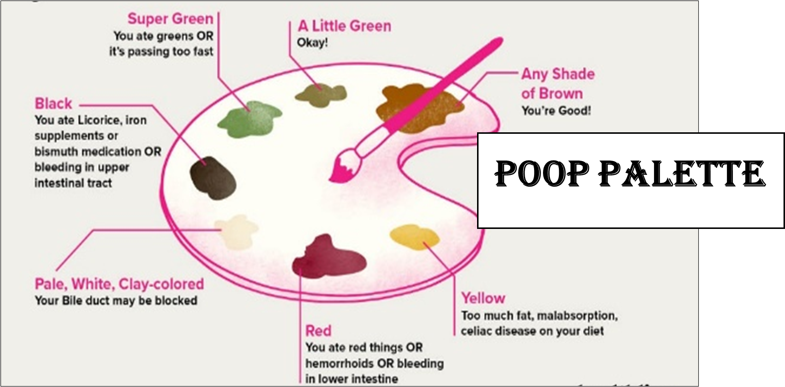 All About Poo – Part 1 – Sunlight Nutrition
